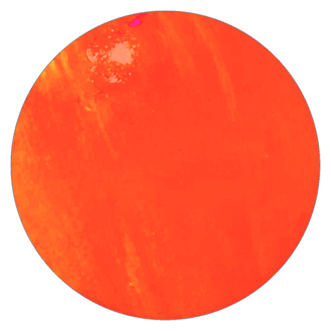 MANGO 67 - WordPress